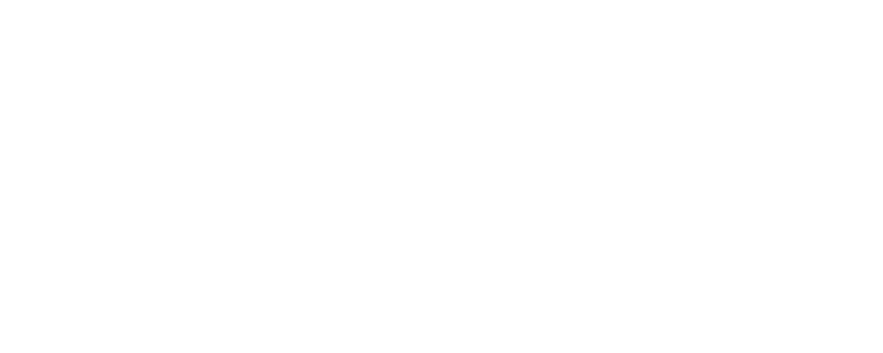 FIOLA Filtertechnik GmbH - FIOLA GmbH