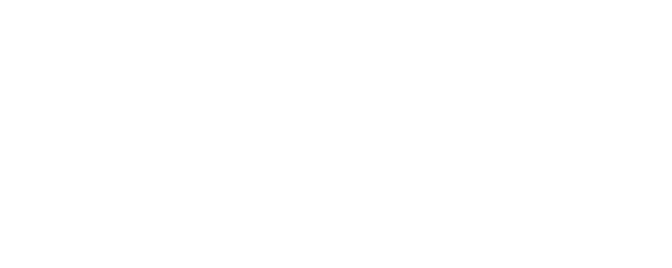 FIOLA Filtertechnik GmbH - FIOLA GmbH